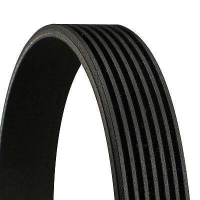 Genuine Continental ContiTech Drive Belt 7PK2418 4010858508722 | eBay UK